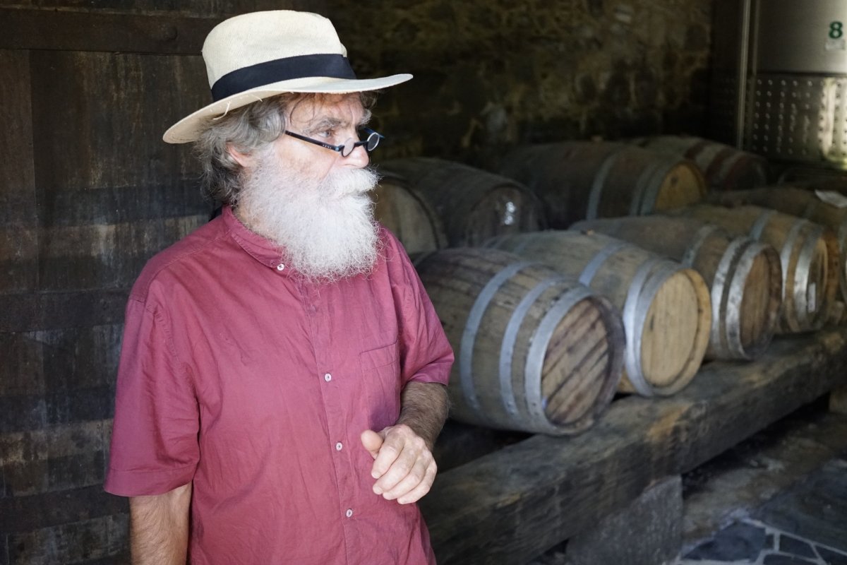 Conventional vs. natural winemaking: what happens between fermenting g ...